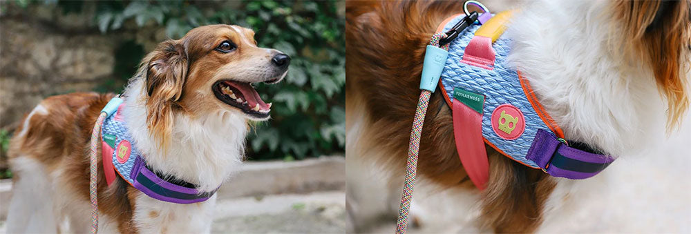 Fly Harness – Little Batches