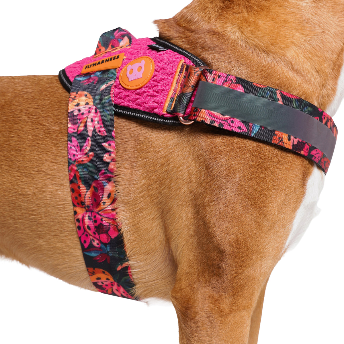 Selva Fly Harness – Little Batches