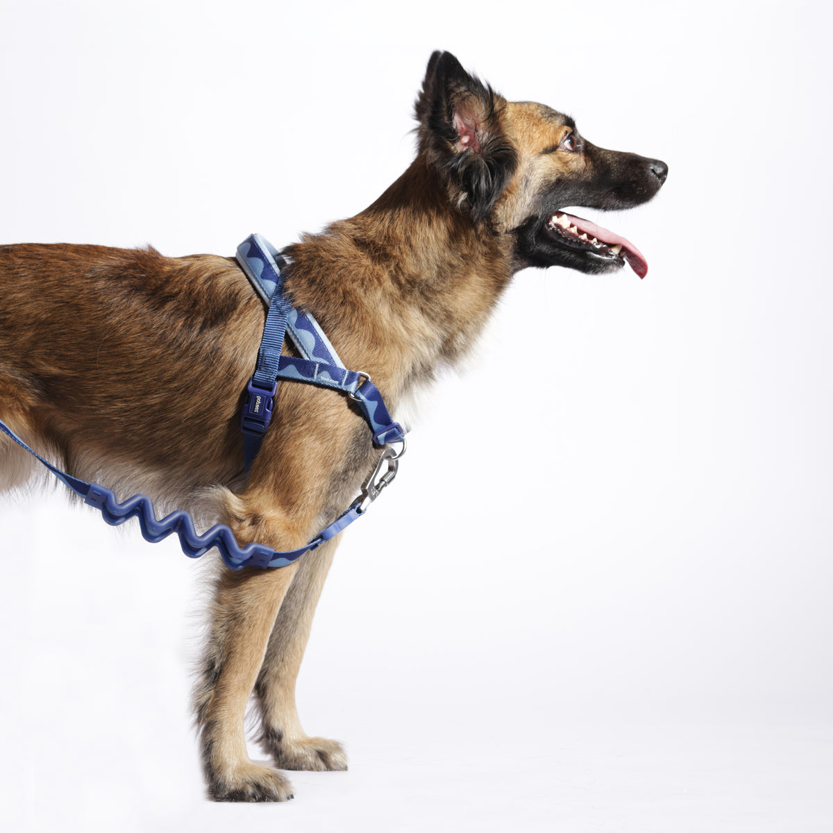 Swell Softer Walk Harness – Little Batches