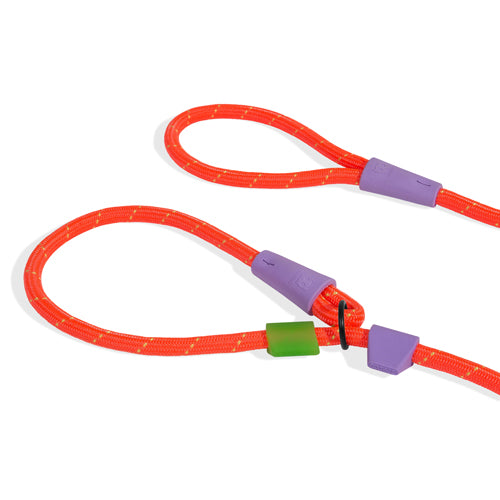 Everest | Slip-N-Lock Leash – Little Batches