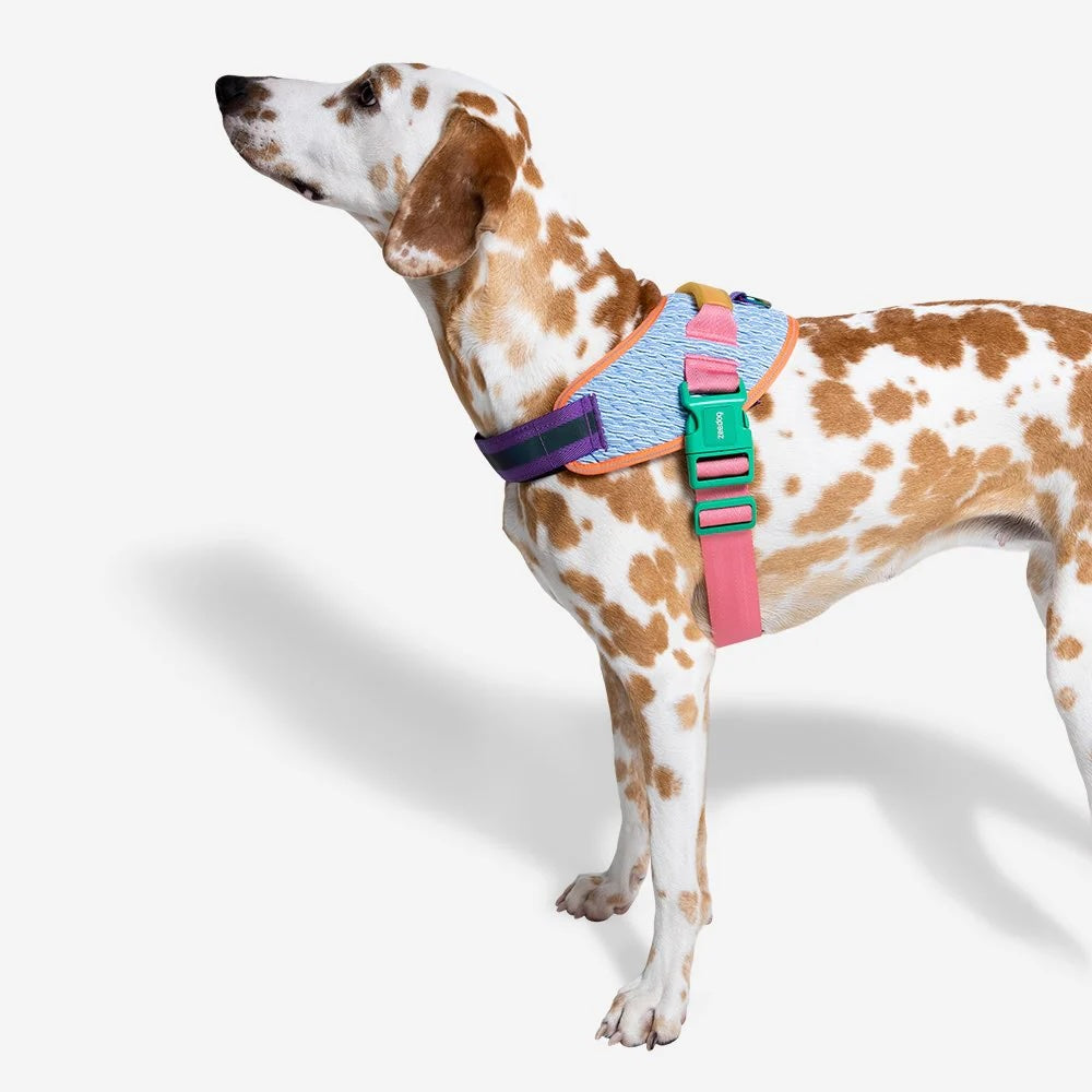 Galaxy | Fly Harness – Little Batches